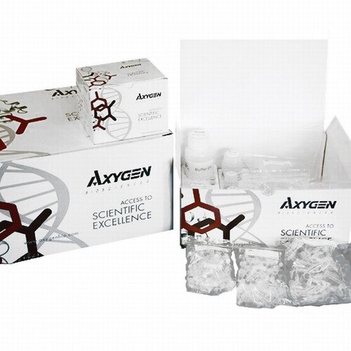 Corning Axygen® AP-MN-MS-GDNA-250 AxyPrep™ Multisource Genomic DNA ...