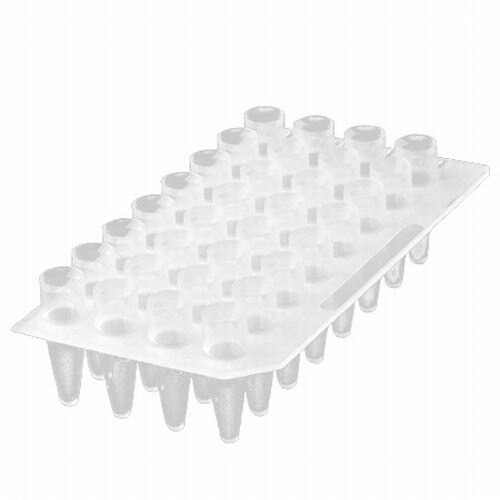 Corning Axygen® PCR-32-C Non-Skirted 32-Well x 200µL PCR Microplate, Clear