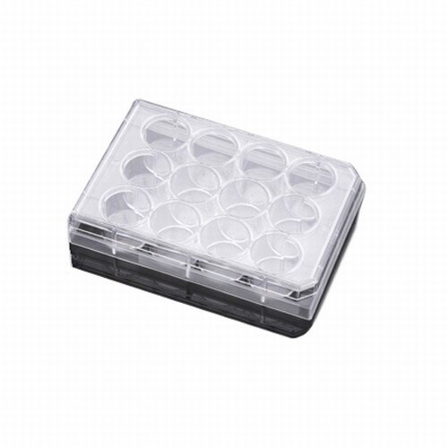 Falcon® (a Corning Brand) 353103 | 12-Well Transparent Cell Culture Inserts