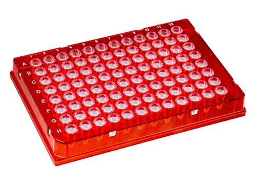 9204 PermaFrame 96-Well Full-Skirt 0.1mL PCR Plate