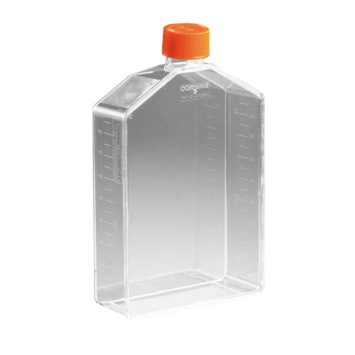 Corning® 3292 Sterile 175cm2 Rectangular Cell Culture Flask with Angled Nec
