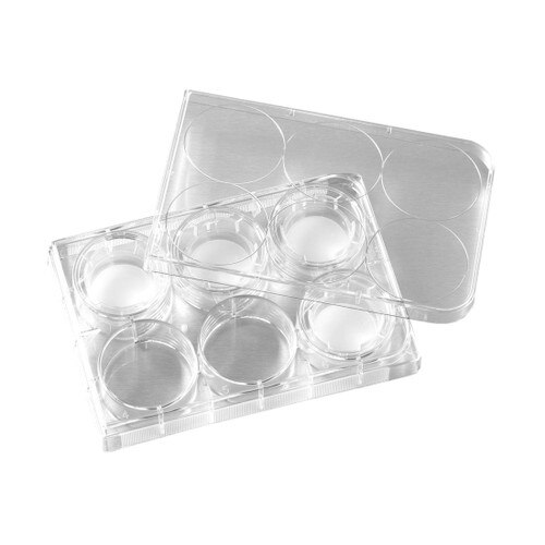 Corning® 3335 | 6-Well x 16.8mL Cell Culture Multi-Well Plate with Lid, Cel