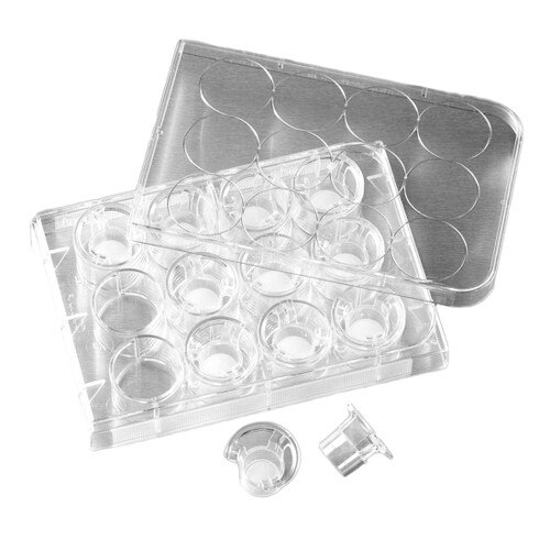 Corning® 3460 Transwell® 12mm Polyester Membrane Inserts Pre-Loaded in 12-W