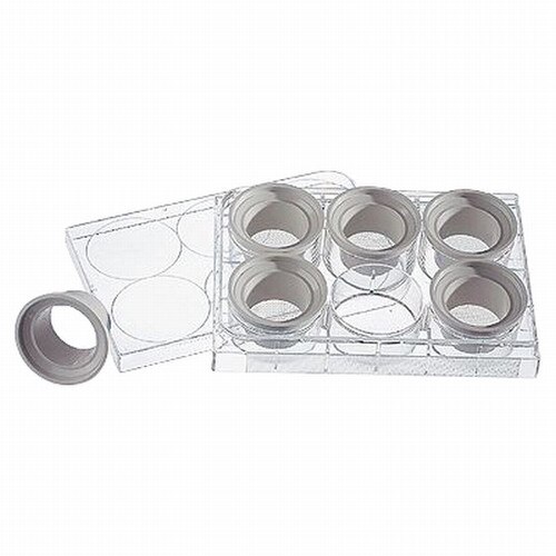 Corning® 3480 Netwell™ 24mm Polyester Mesh Membrane Inserts Pre-Loaded in 6