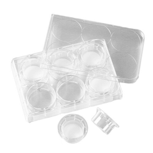 Corning® 3491 Transwell® 24mm Collagen-Coated PTFE Membrane Inserts Pre-Loa