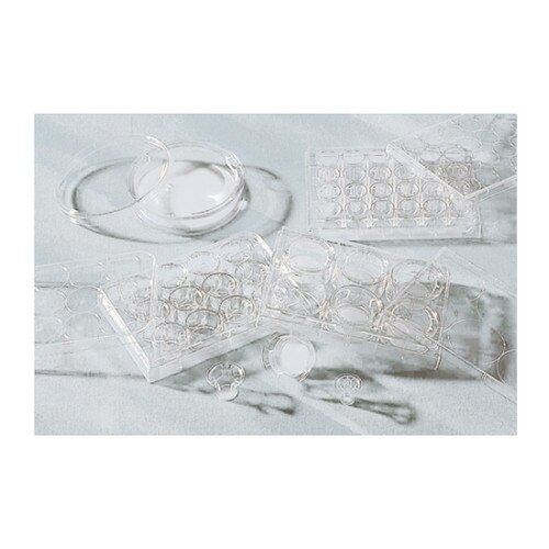 Corning® 3493 Transwell® 12mm Collagen-Coated PTFE Membrane Inserts Pre-Loa