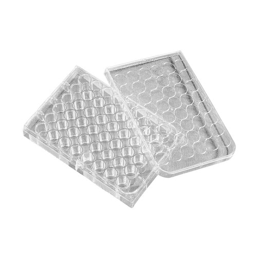 Corning® 3548 Costar® 48-Well x 1.6mL Flat Bottom Cell Culture Microplate w