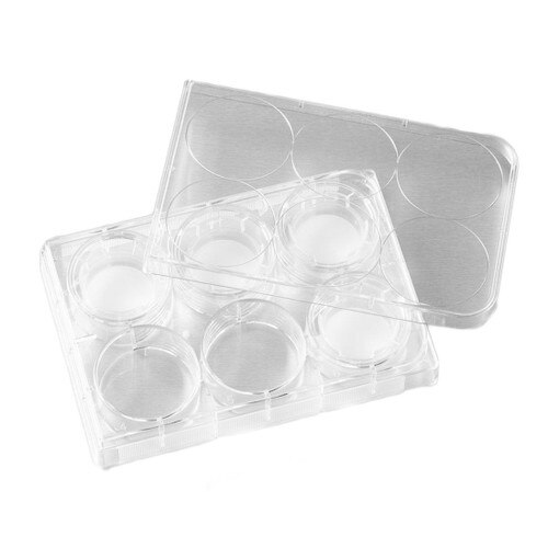Corning® 3736 Costar® 6-Well Flat Bottom 16.8mL MicroPlate with Lid, Clear