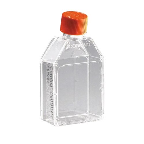 Corning® 430168 Sterile 25cm2 Rectangular Cell Culture Flask with Canted Ne