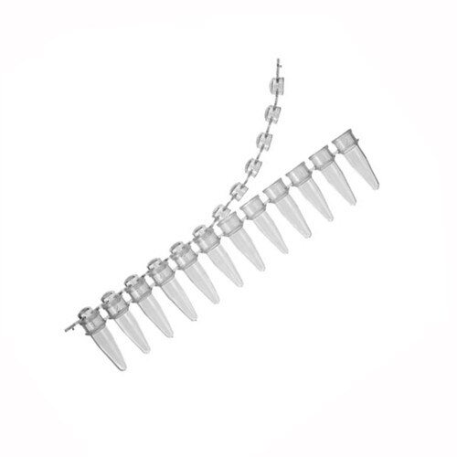 Eppendorf 0030124839 PCR Tube Strip Domed Caps, Certified RNase/DNase ...