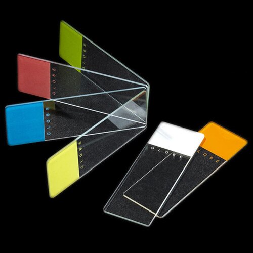 Globe Scientific 1324B Classic Color-Coded Microscope Slides with Ground Ed