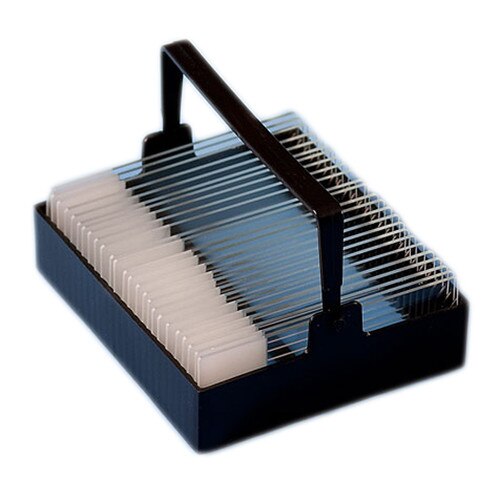 Globe Scientific 513220 Microscope Slide Staining Rack for 25 Slides Black