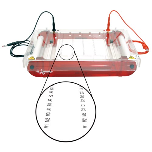 Hoefer SUBHT| Capitol Scientific