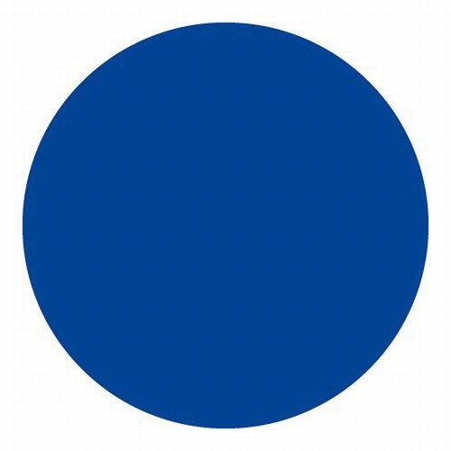 TimeMed® C-20A Dark Blue Circle Labels