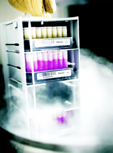 Nunc™ 374075 Non-Bar Coded Bank-It™ Cryogenic Vial System, 0.5mL, Racked, S