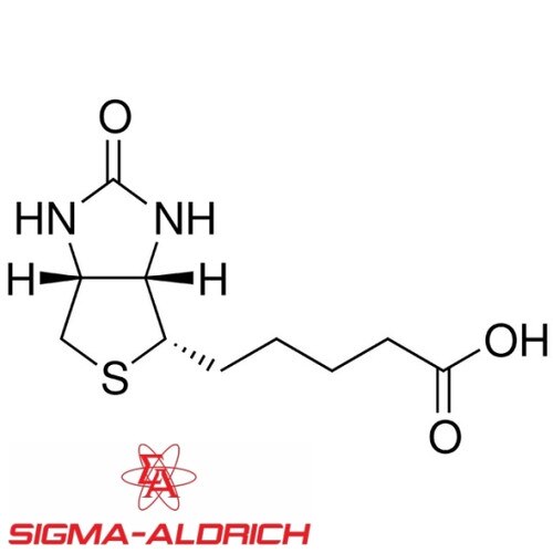 Supelco 47868 D-Biotin, Analytical Standard, 100mg Ampule