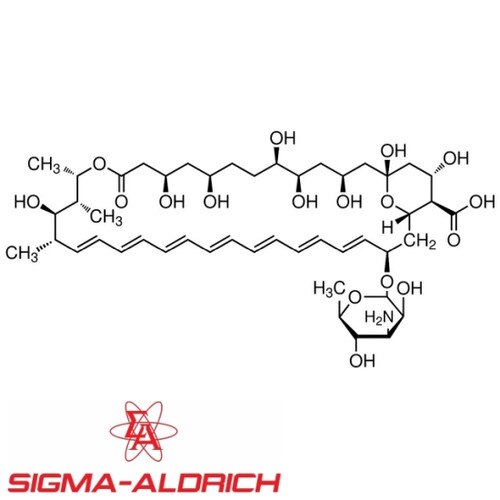Sigma A2942-20ML Amphotericin B Solution, 250ug/mL in Deionized Water, BioR