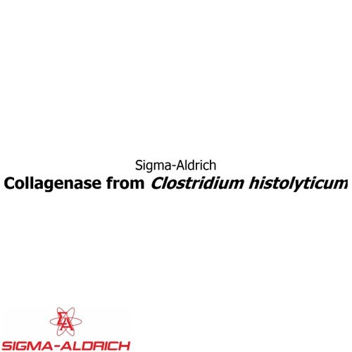 Sigma C1889-50MG Collagenase from Clostridium Histolyticum, 50mg Bottle