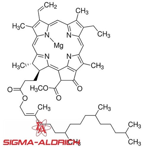 Sigma C6144-5MG Chlorophyll a, 5mg Vial