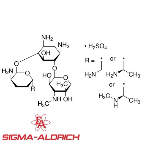 Sigma Aldrich G1914-250MG Gentamicin Sulfate Powder, USP Grade, 250mg Vial