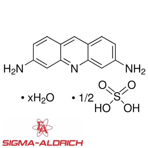 Sigma P2508-10G Proflavine HemiSulfate Salt Hydrate Powder, 10g Bottle
