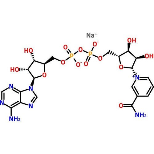 Spectrum Chemical N3082-1GM, beta-Nicotinamide Adenine Dinucleotide ...