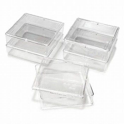 Thermo Scientific Owl® GSB-3 Electrophoresis Gel Staining Tray, Clear ...