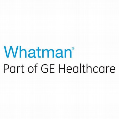 Whatman™ WB120317 FTA™ Indicating Mini Card with 2 x 125µL Sample Areas ...